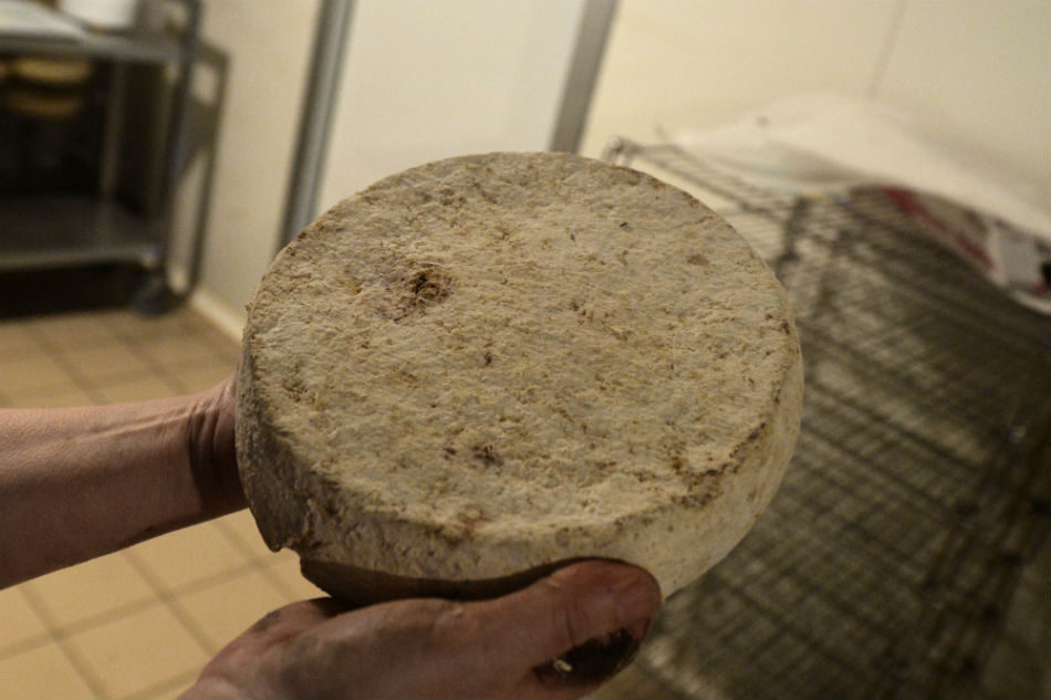 Les tommes bretonnes originales - La Fromagerie de la Mer