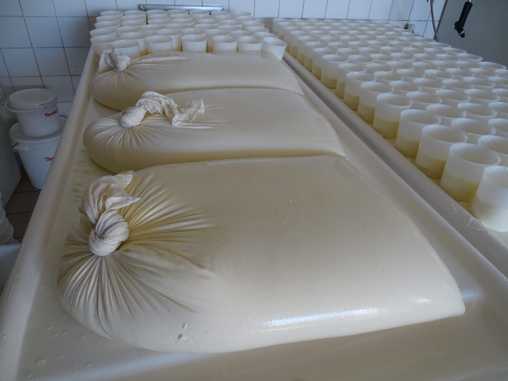 Actualités - La Fromagerie de la Mer